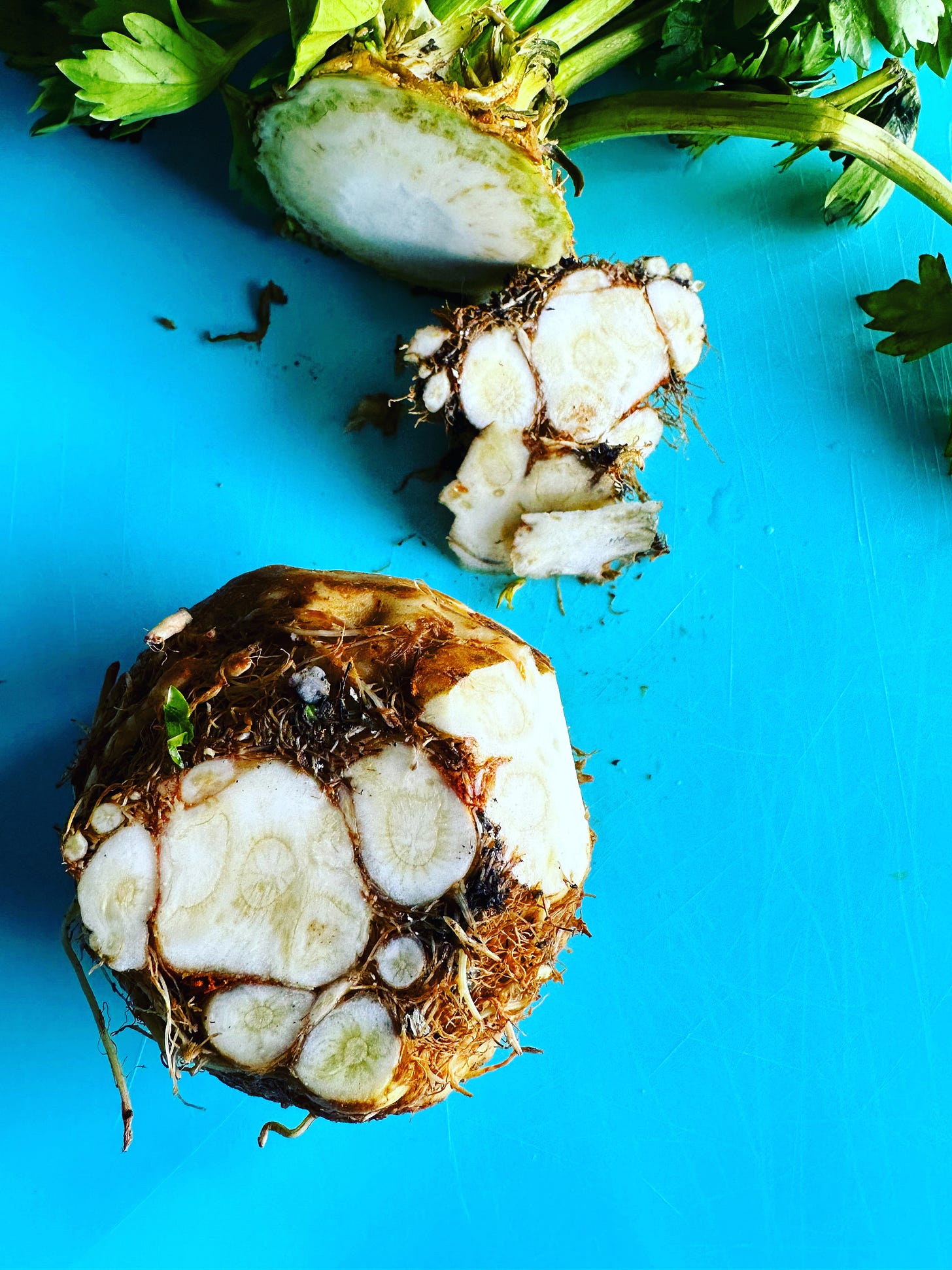 Reviving a Classic French Salad - by emily nunn