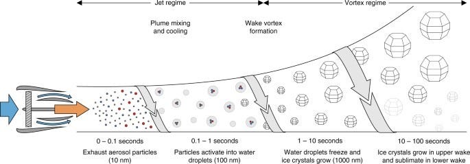 Contrails in a Nutshell - by Michael Caldwell