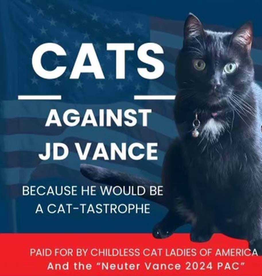 Fun with JD Vance memes - by Deanna Zandt and Laura Ehrlich
