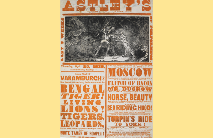 How to Use Abril Fatface: The Perfect Font for Fashion and Editorial ...