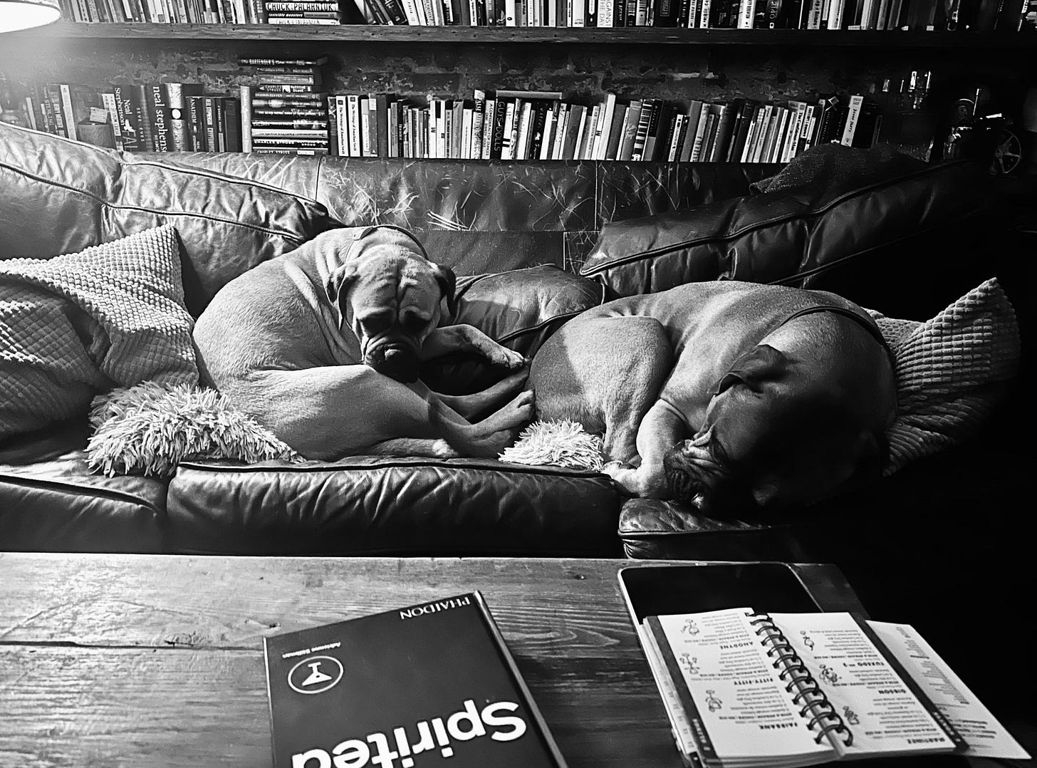 Cocktails With Suderman | Peter Suderman | Substack