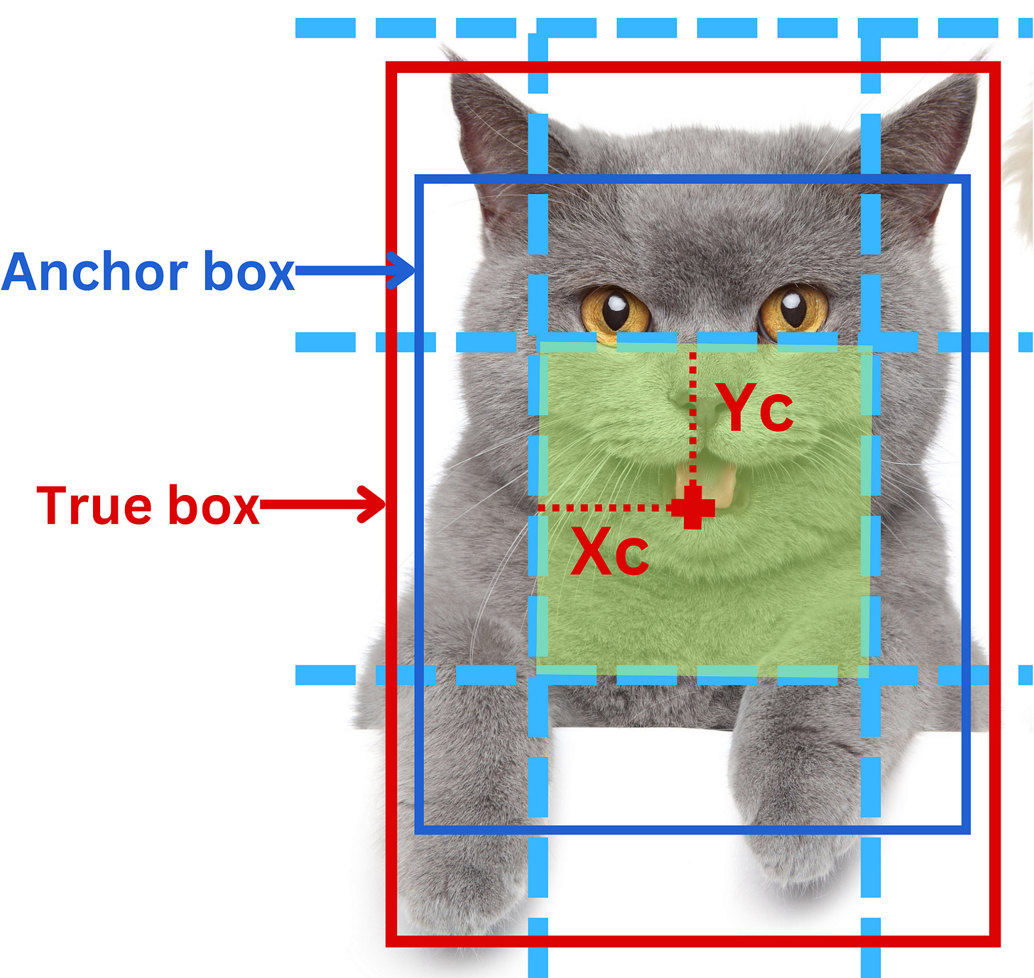 Deep Dive: YOLO In-and-Out Part 1 - from V1 to V4!