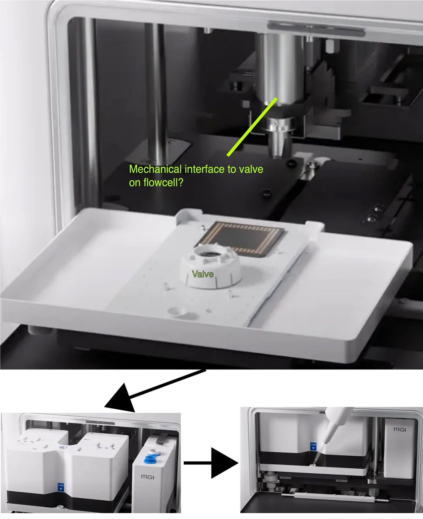 MGIs iSeq: The DNBSeq-E25 - by Nava Whiteford