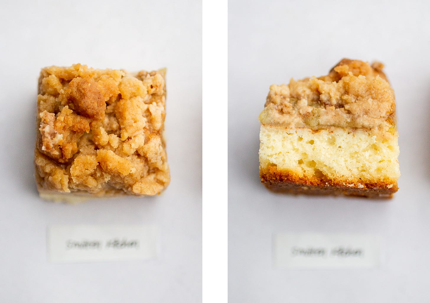 October Micro Bake Off: Apple Crumb Cake - by Erika