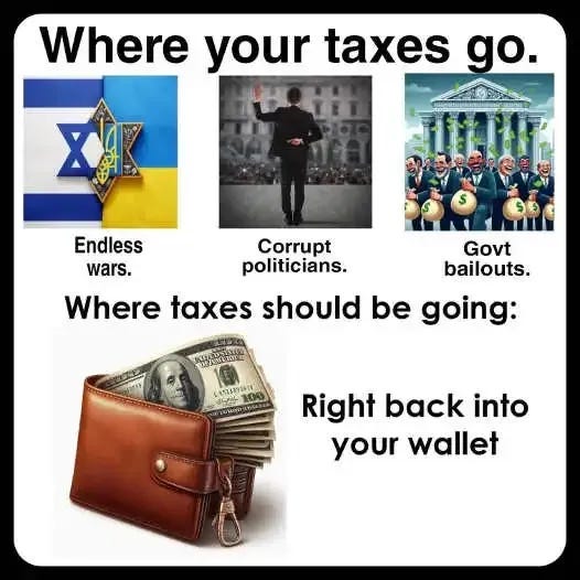 Ann Barnhardt Memes - Edwin’s Newsletter #1