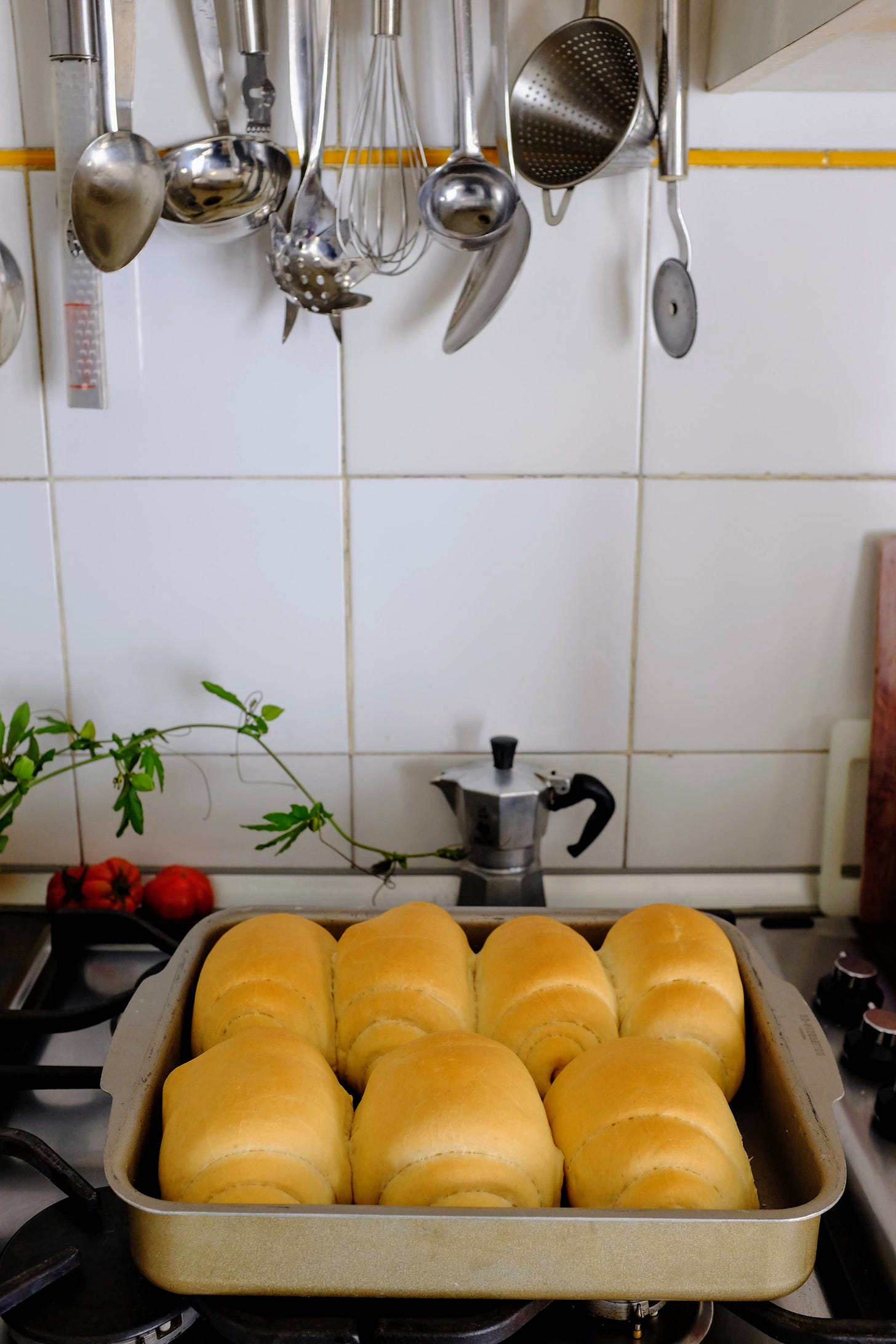 Pillowy Venetian Buns - Dash of Prosecco