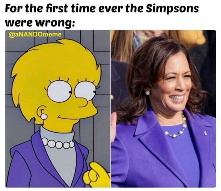 Ann Barnhardt Memes - Edwin’s Newsletter #1