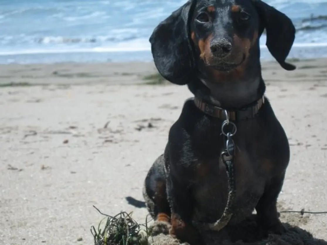 SPECTATORS - Part 80 - by Brian K. Vaughan