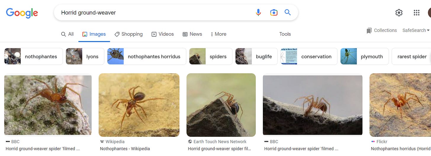 3 "Limitations" of Stable Diffusion and the Power of Fine-tuning