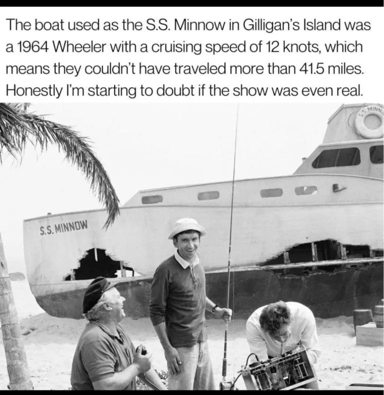 Ann Barnhardt Meme Barrage - Edwin’s Newsletter #1