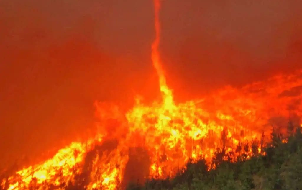 Terral Answers Lindsay's Black Star and Survival Group-related Questions