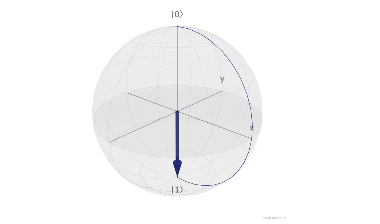A Lesson On Pauli Matrices As Quantum Gates