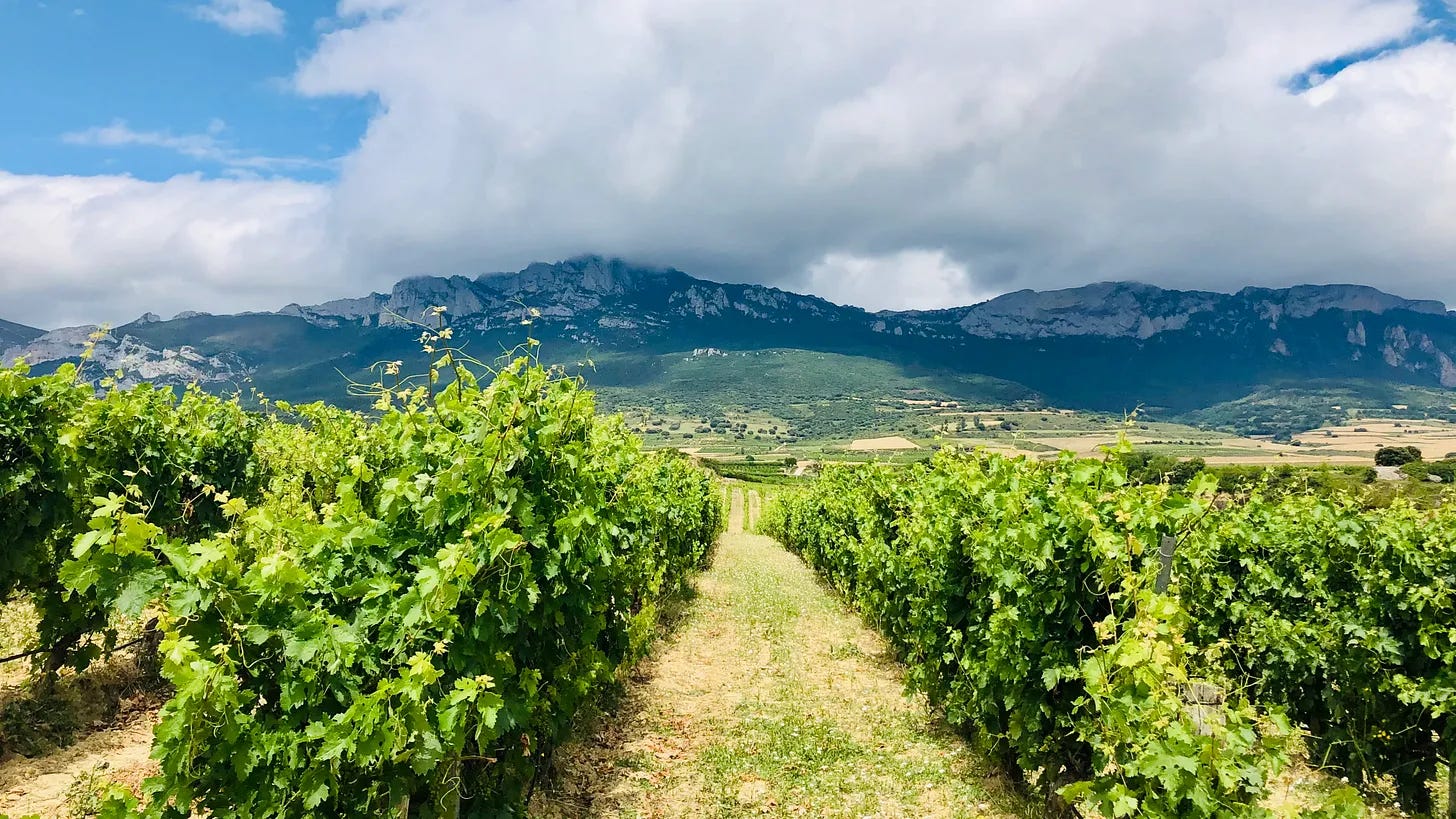 My Quirky Travel Guide to Rioja - by Jason Wilson