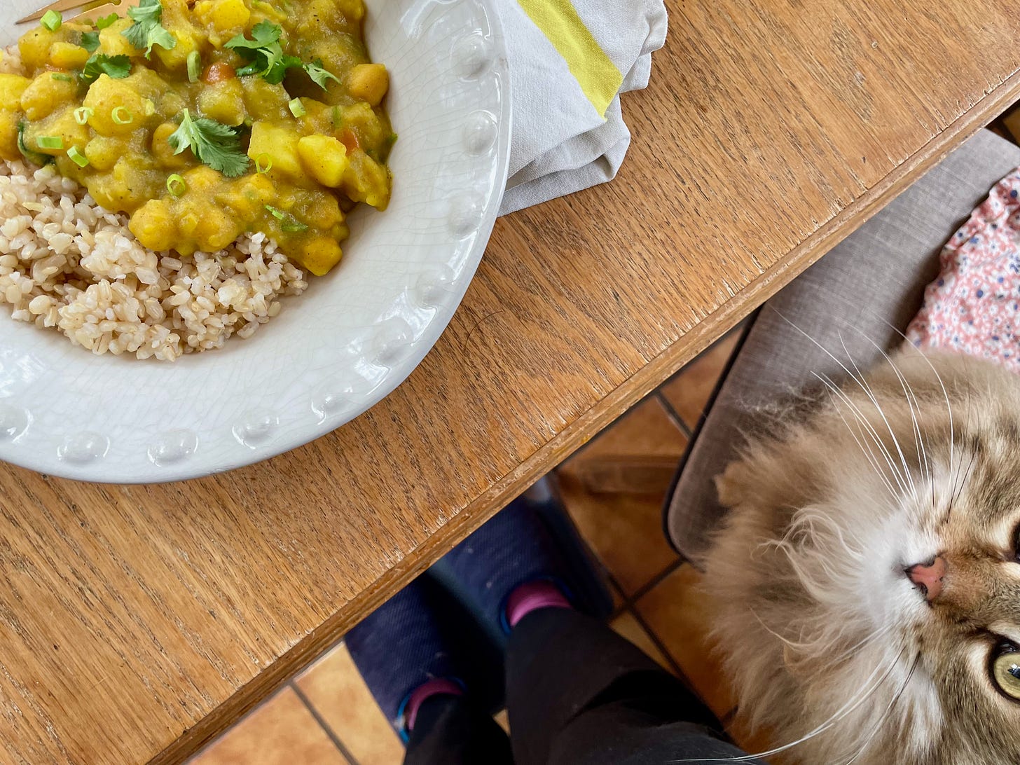 It's Chickpeas Again! (with Brigid Ransome Washington)