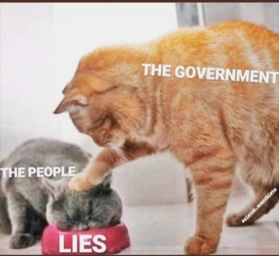 sunday memepool: government edition, by el gato malo | STRAIGHT LINE LOGIC