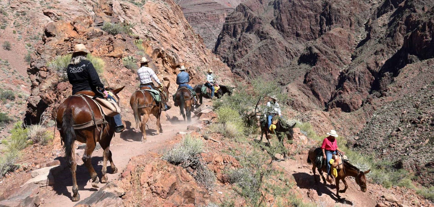 The Legend of Brighty of the Grand Canyon - by Jan Spell