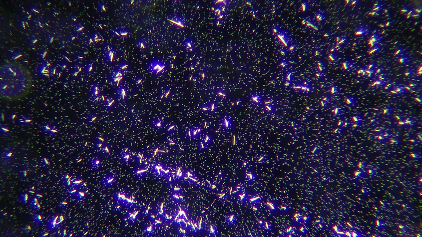 Coke, Pepsi, Evian, Fiji Water, Coconut Water & a Steak under the ...