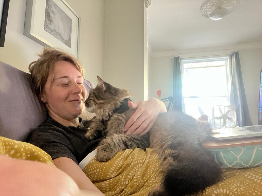 Wolf Vs Sprite - by Lauren DeRoller