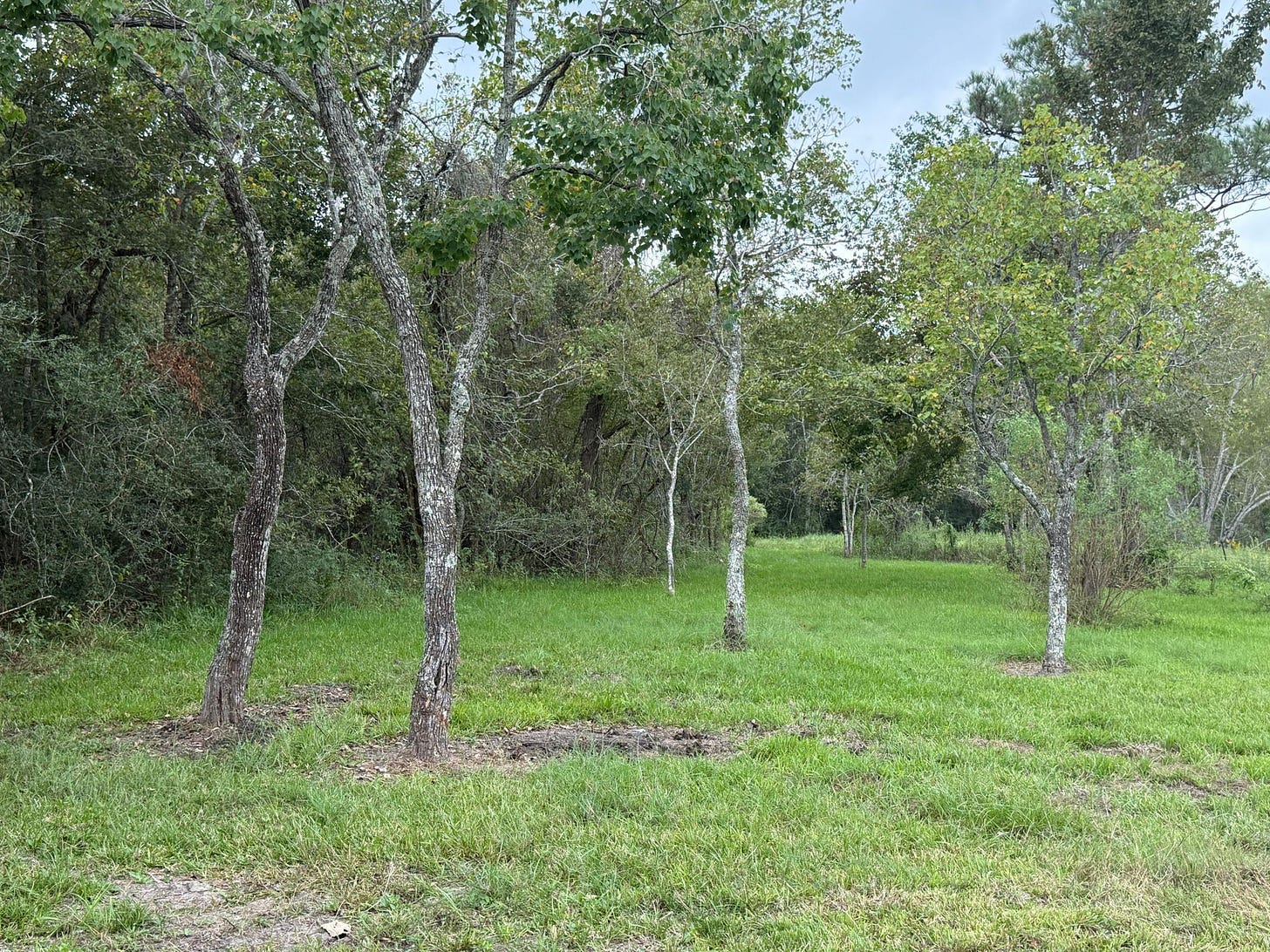 Investigating the Brutal Calder Road Murders and the Texas Killing Fields