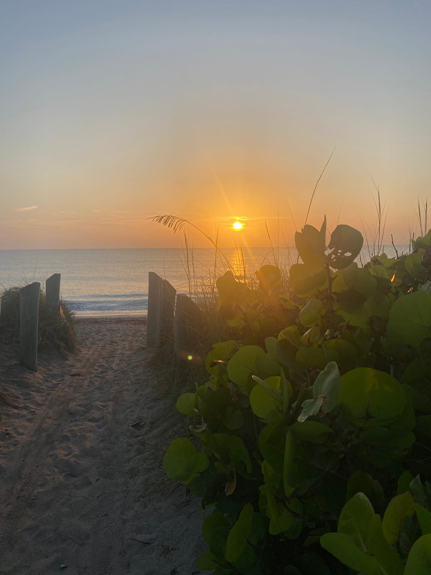 Practicing | Lynn Steger Strong | Substack