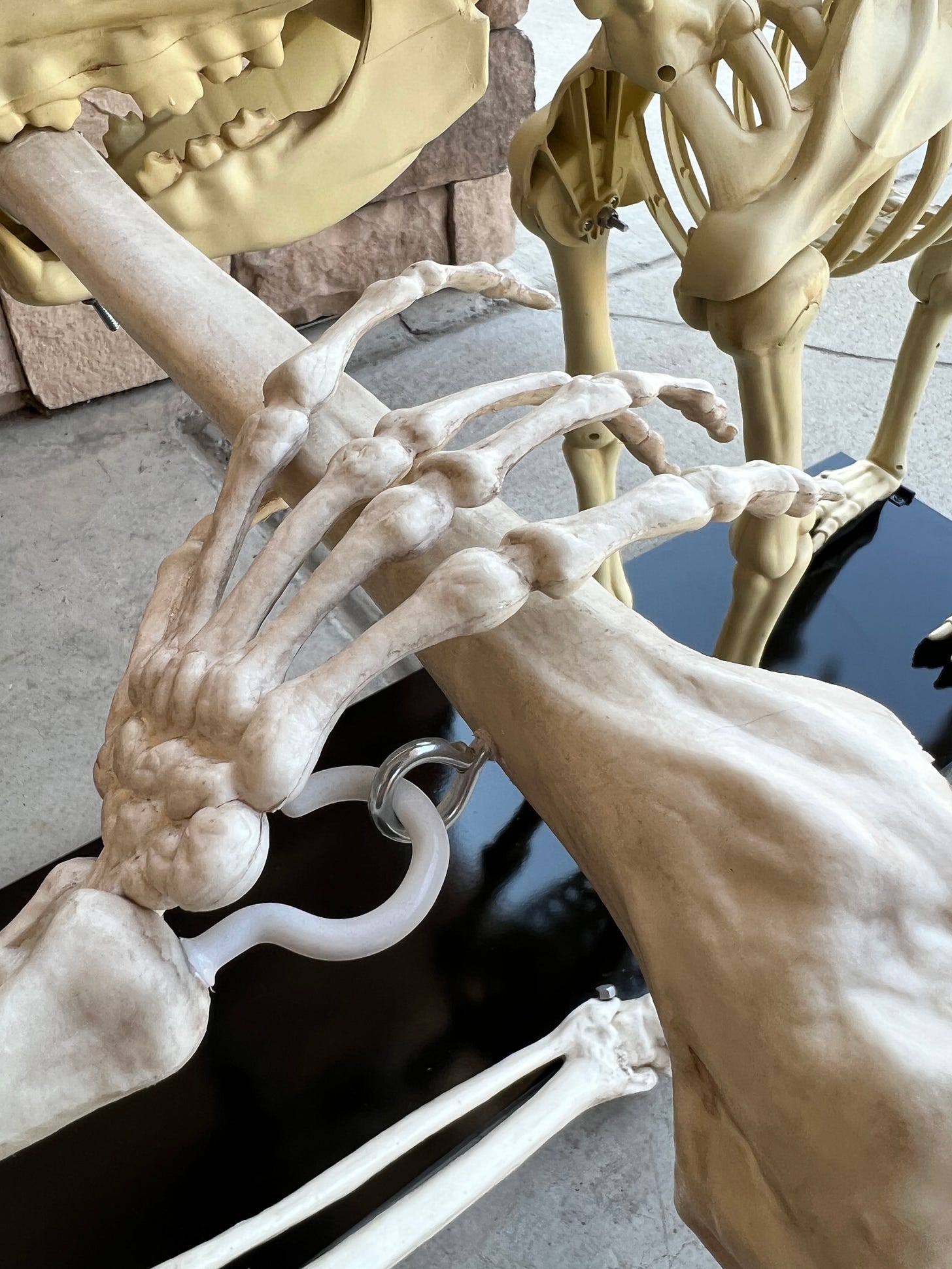 #2: Dog Pulling My Leg Prop - Haunt Makers