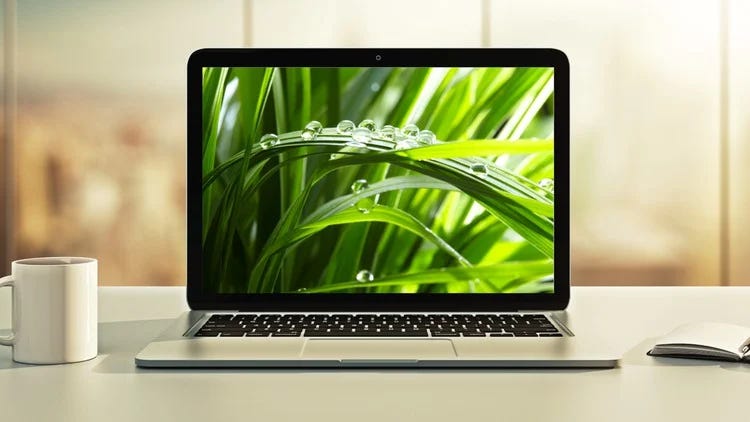 The Complete Java Developer RoadMap - by javinpaul and Soma