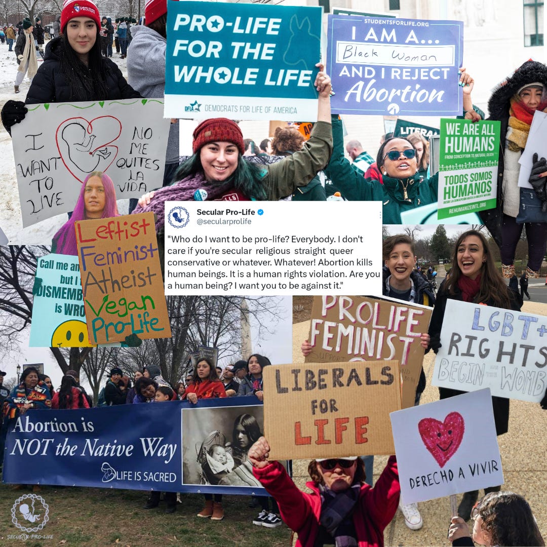 Over 100 pro-life sign ideas - Secular Pro-Life