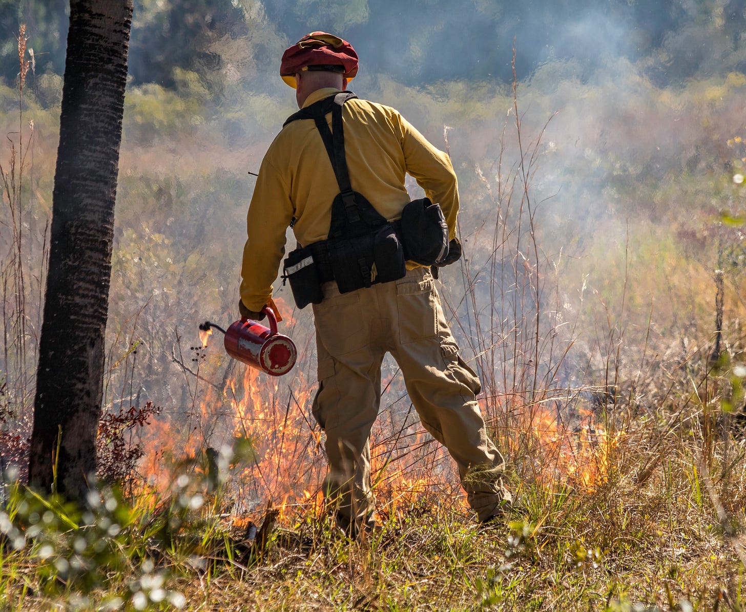 What is The Firebreak? - THE FIREBREAK