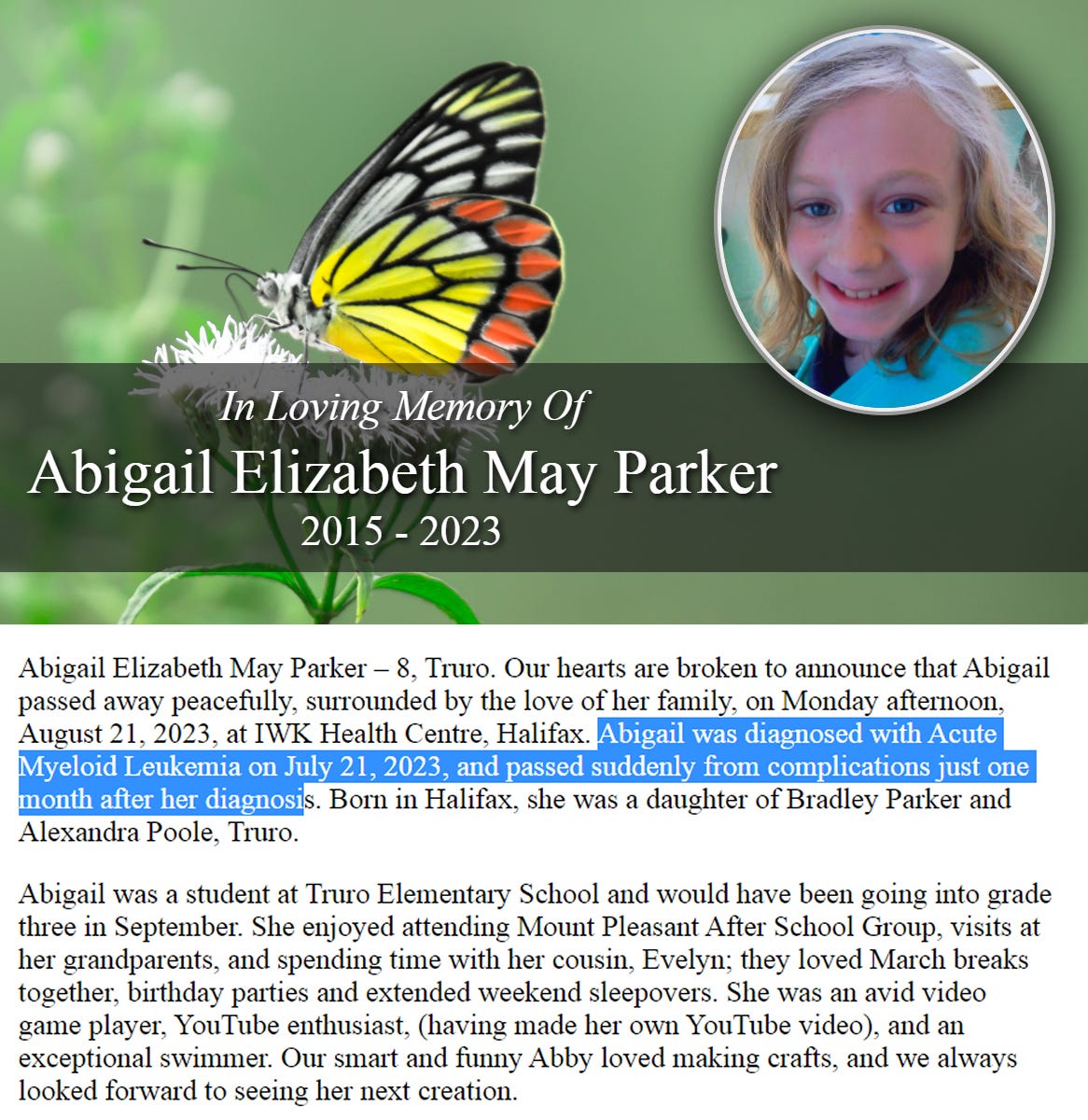 Turbo Cancer: Leukemia Diagnosis to Death in Hours, Days or Weeks ...