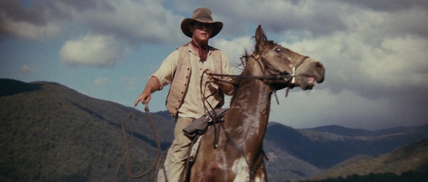 The Man from Snowy River - by Frank Kidd