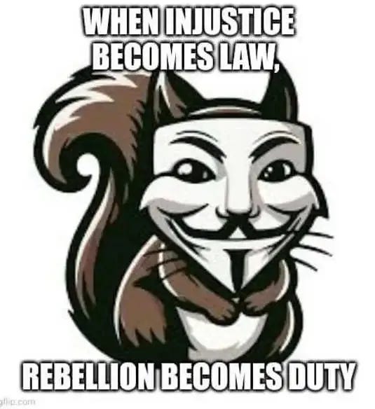 Ann Barnhardt Memes - Edwin’s Newsletter #1