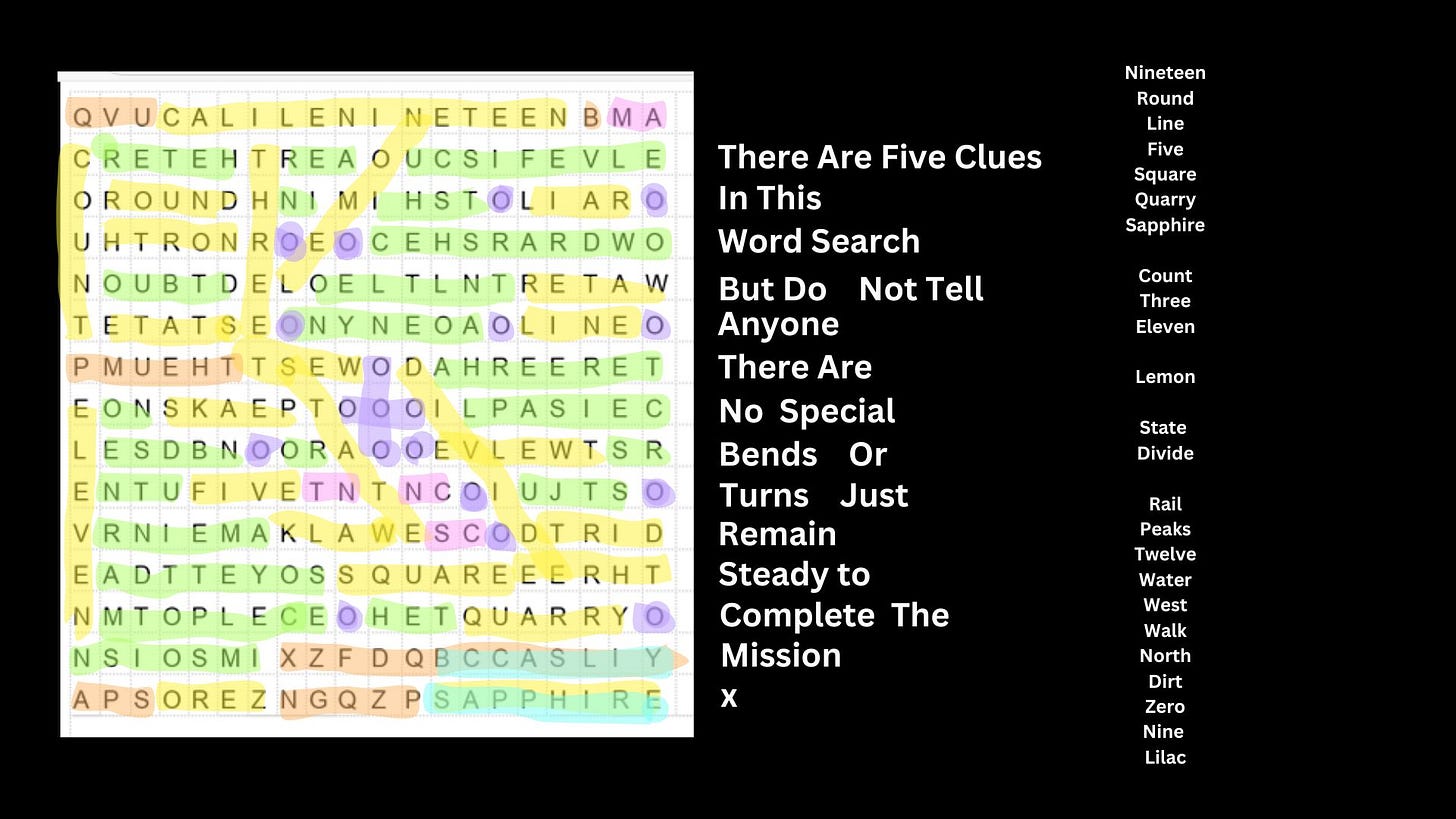 Word Search Secret Message in There's Treasure Inside