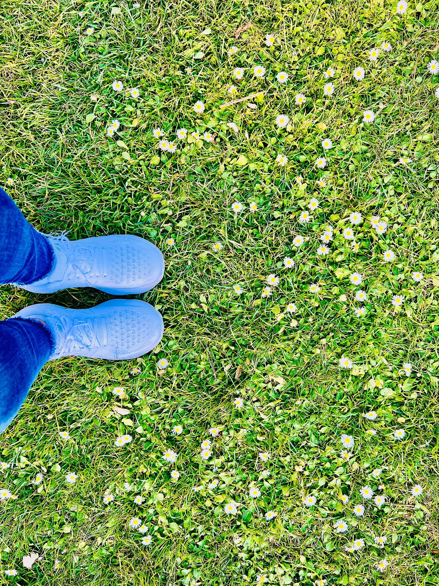 Bloodtype: Gypsy + Vagabond - by Benivia Lee