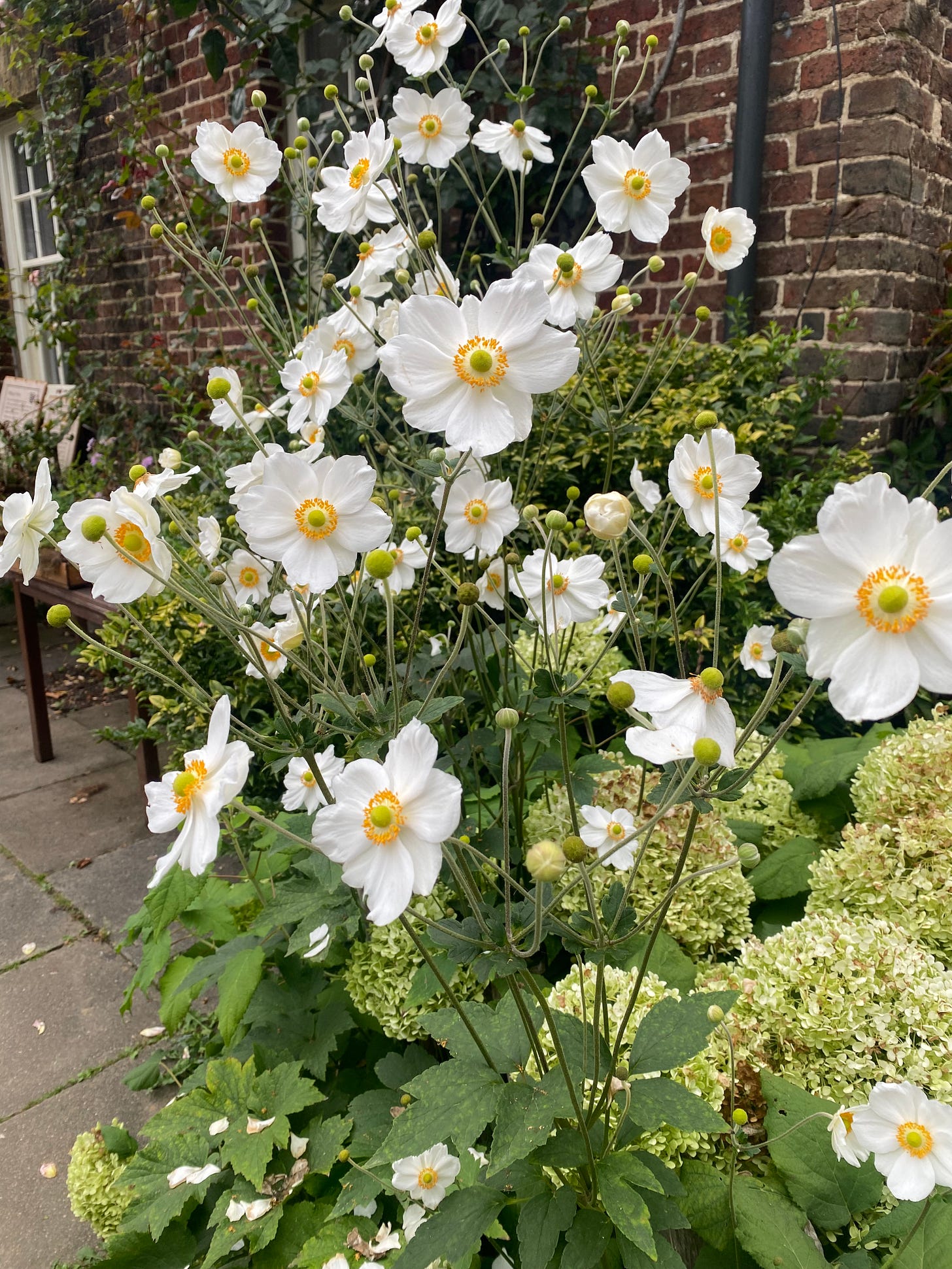 October - by Florence Blair - bits & bobs