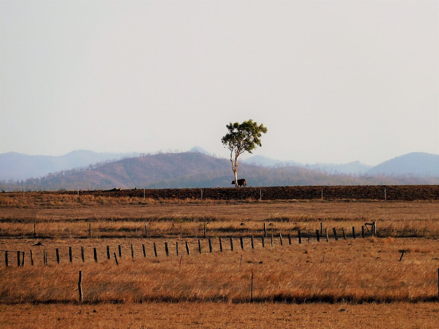 Οίμος-Αθήνα: ΟΙ ΣΙΩΝΙΣΤΕΣ ΝΕΟΤΑΞΙΤΕΣ ΚΑΤΑΣΤΡΟΦΕΙΣ ΤΟΥ ΠΛΑΝΗΤΗ