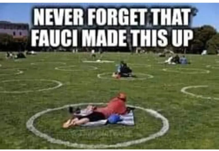 Barnhardt Meme Barrage - Edwin’s Newsletter #1