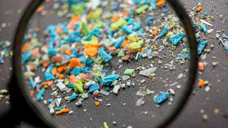 Microplastics May Be Harming Your Body and Brain