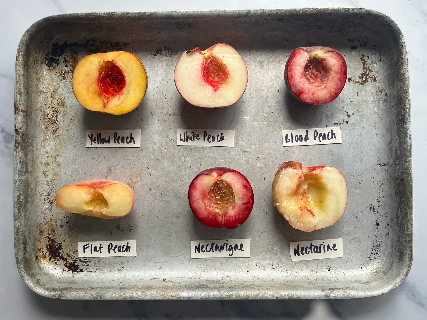 KP+: Peaches vs. Nectarines - by Nicola Lamb