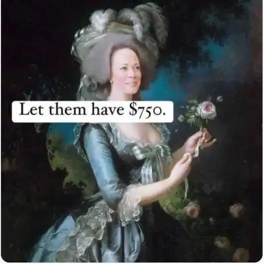 Ann Barnhardt Meme Barrage - Edwin’s Newsletter #1