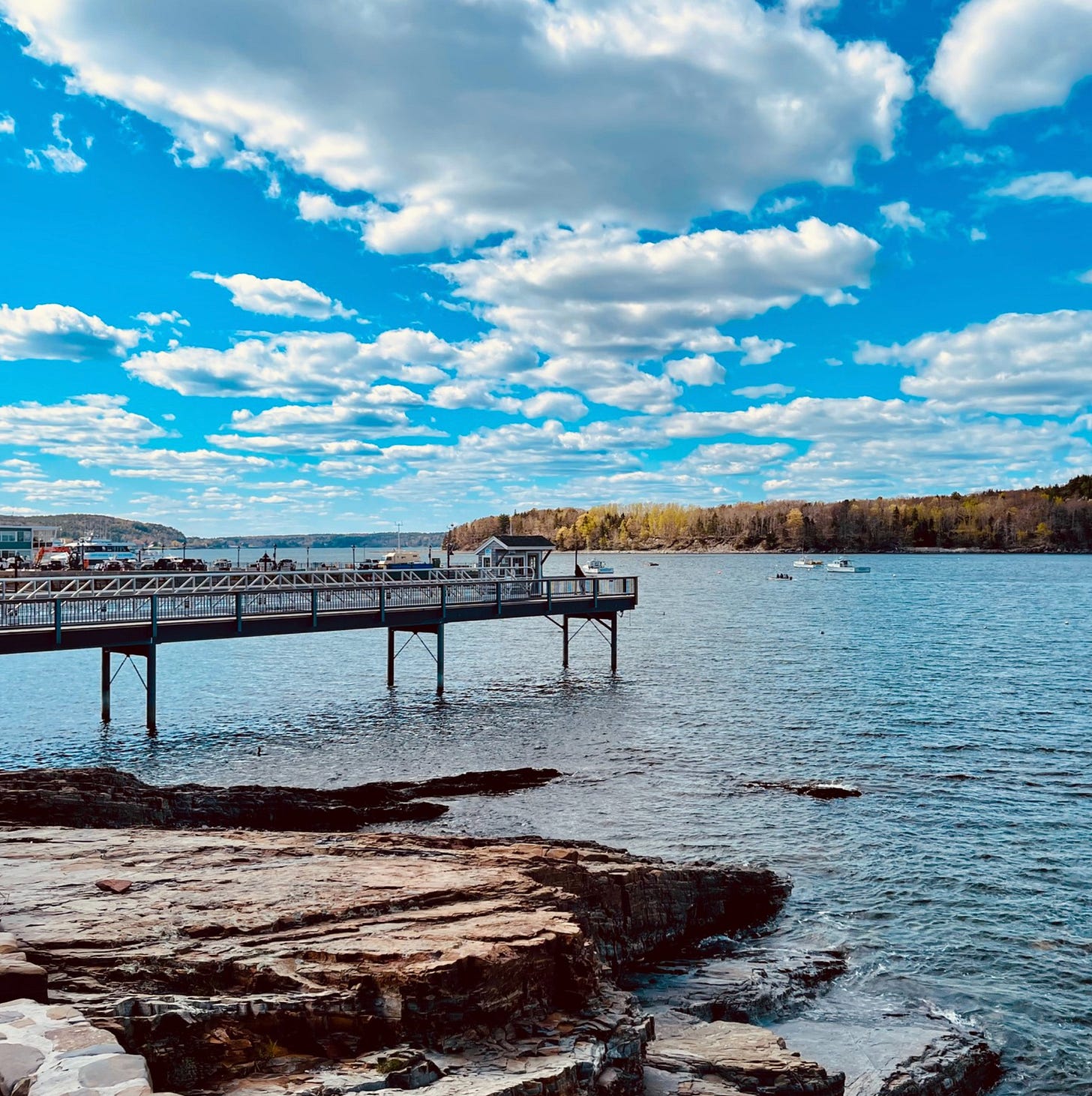 “Massive destruction on a proportion never seen” – Bar Harbor Story