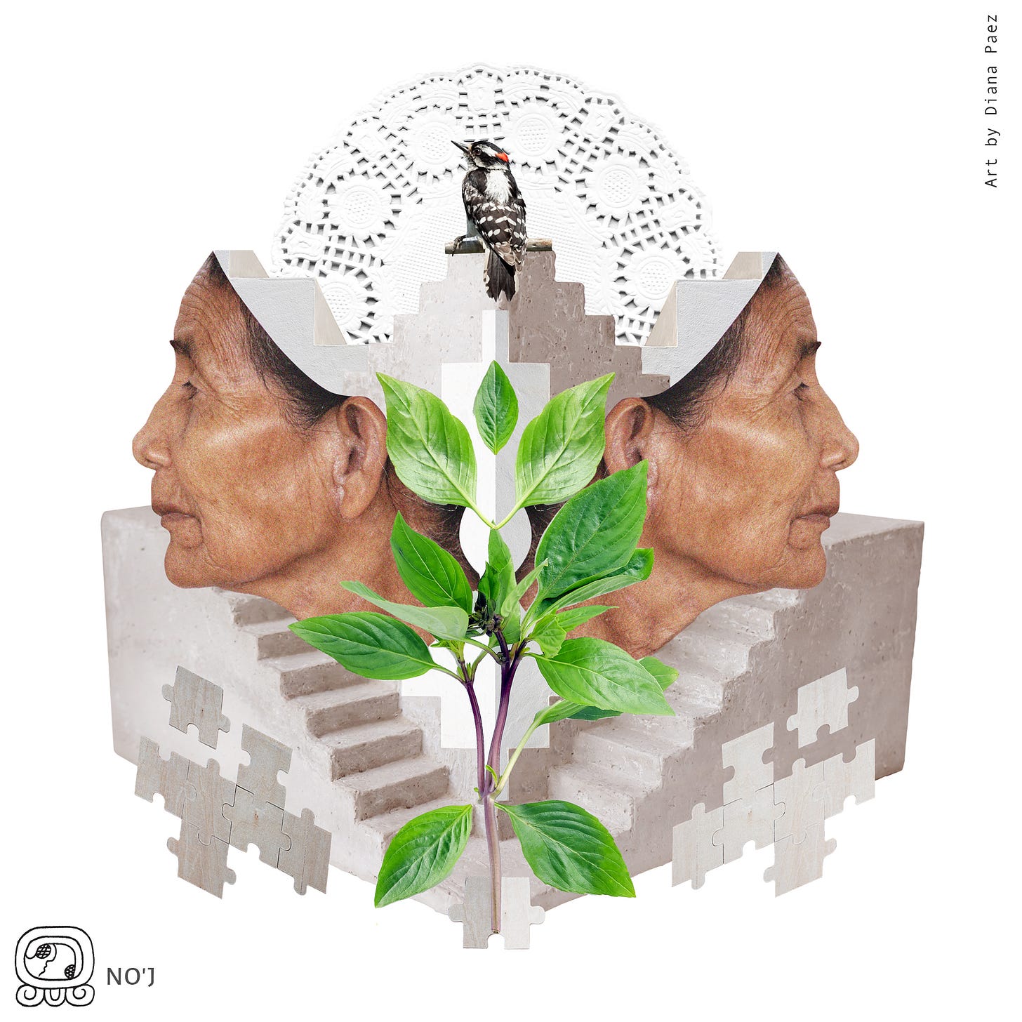 6 No'j: Organization Stabilizes the Mind, Centering Ideas & Solutions