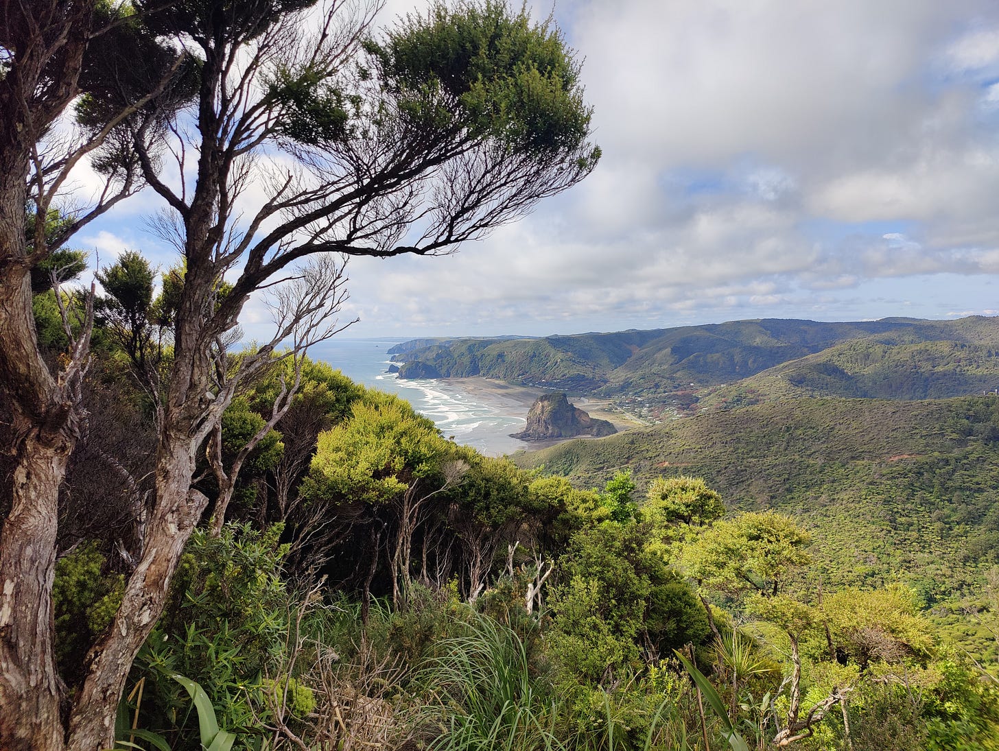 Hiking the Hillary Trail, in the Waitākere Ranges