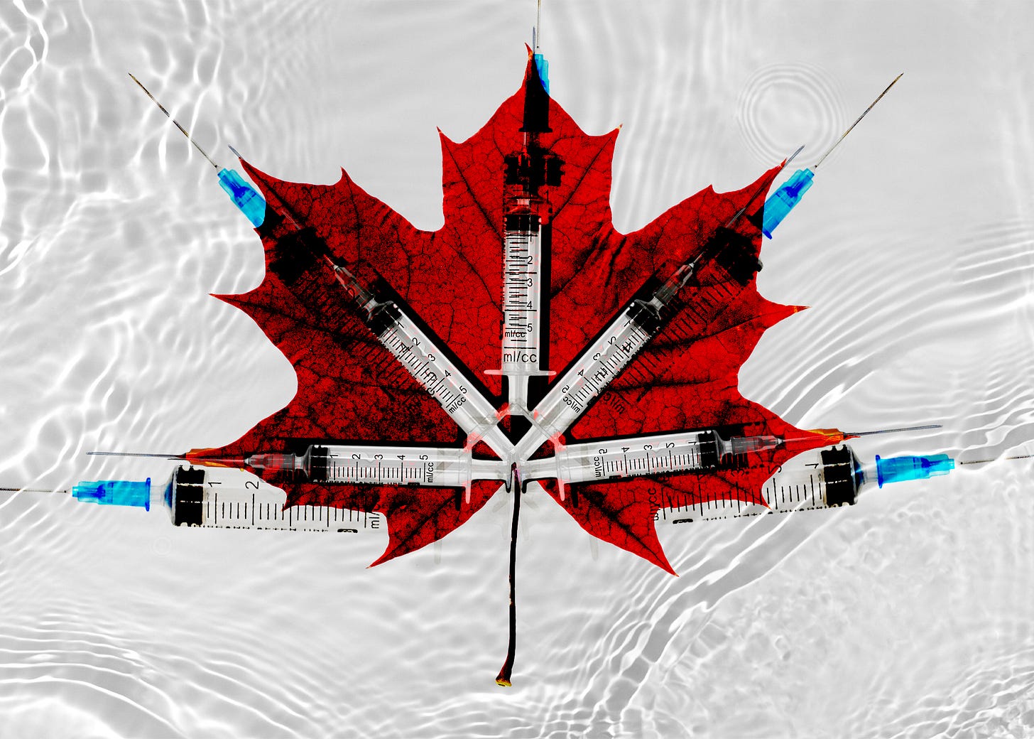 What Canada’s Euthanasia Advocates Ask Us to Believe