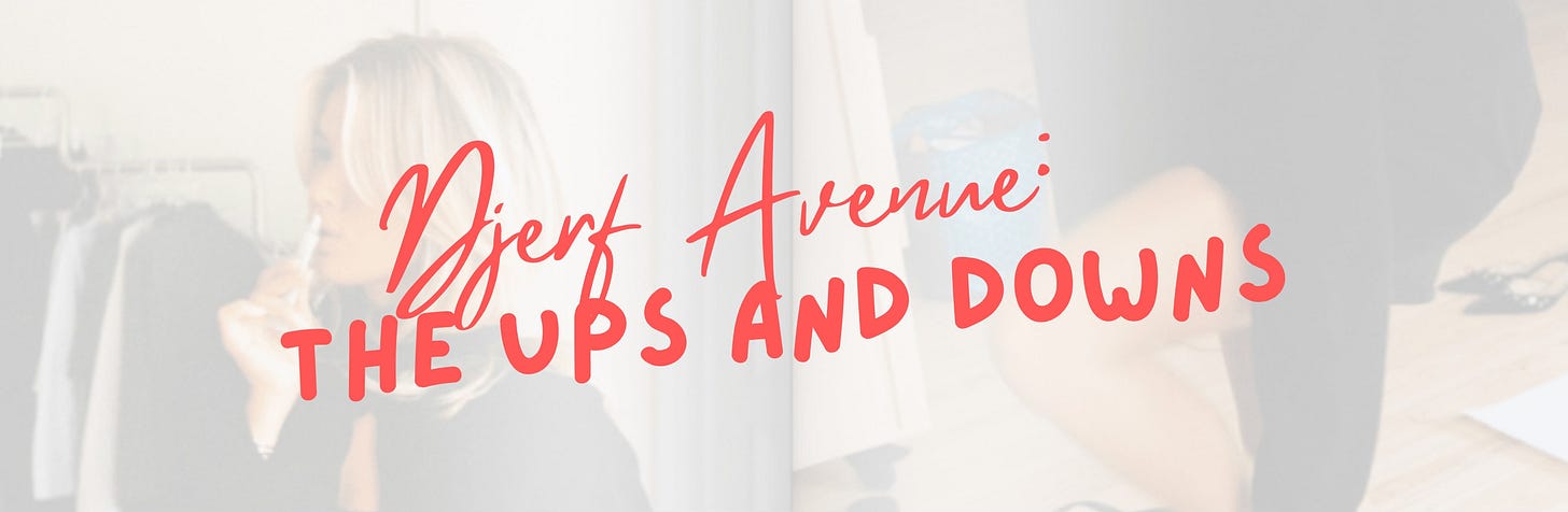 05: Chic to Shambles: What happened to Djerf Avenue?