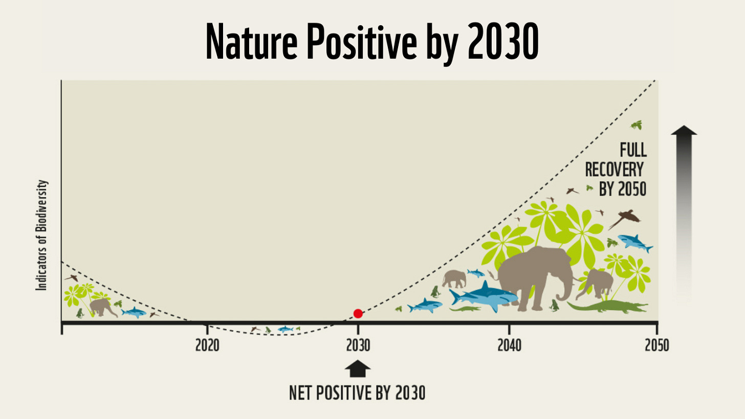 What are Nature-Positive Cities? - by Lennard - Terreminder