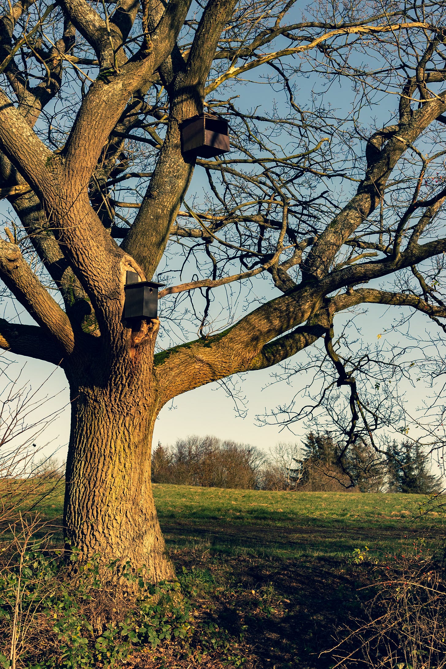 How a Photo Walk With Jon Hopkins' Singularity Became My Awakening