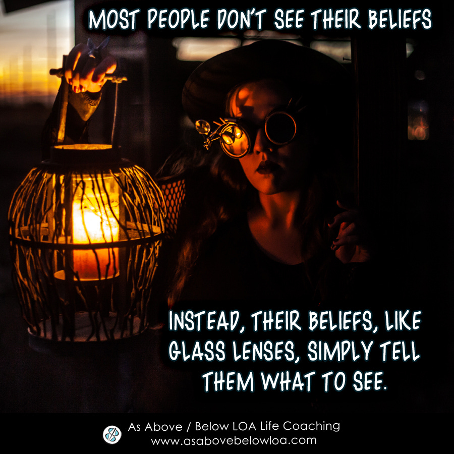 Seeing Through Distorted Lenses - by Barbara Wegner