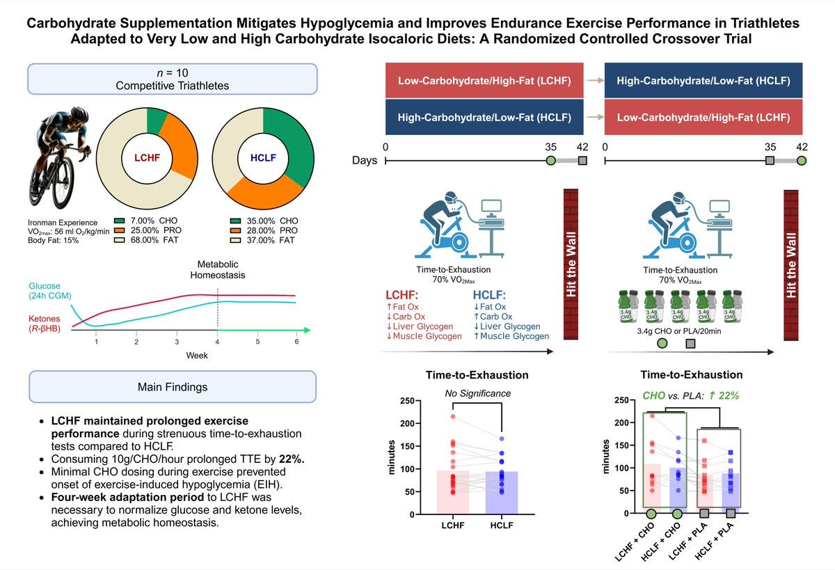 Meat the Myths: Top 8 Carnivore Diet Misperceptions