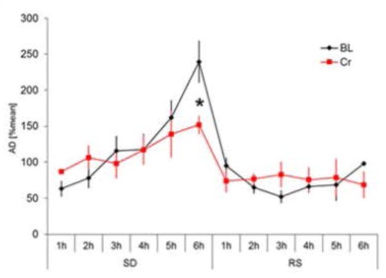 Handling Creatine Side Effects - by Chris Masterjohn, PhD