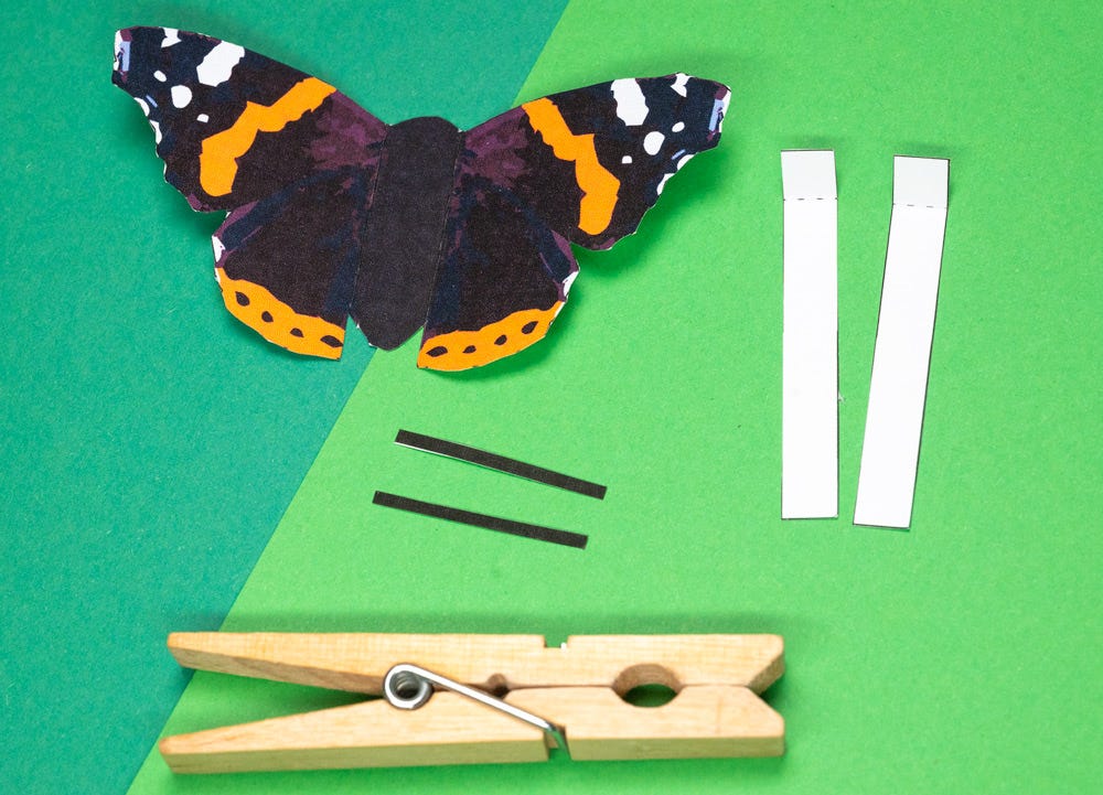 Butterflies - Rob Ives Workshop Notes